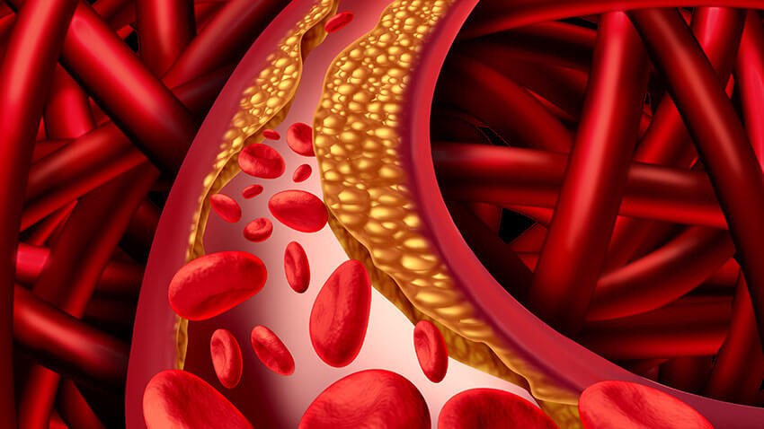 Bemer Classic Set review - 9 Essential Considerations